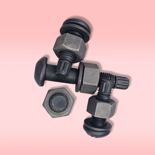 India's best TC Bolt and TS Bolt Supplier